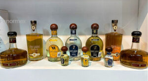 The Best Tequila Brands to Buy While in Mexico: Hidden Gems Not Found ...